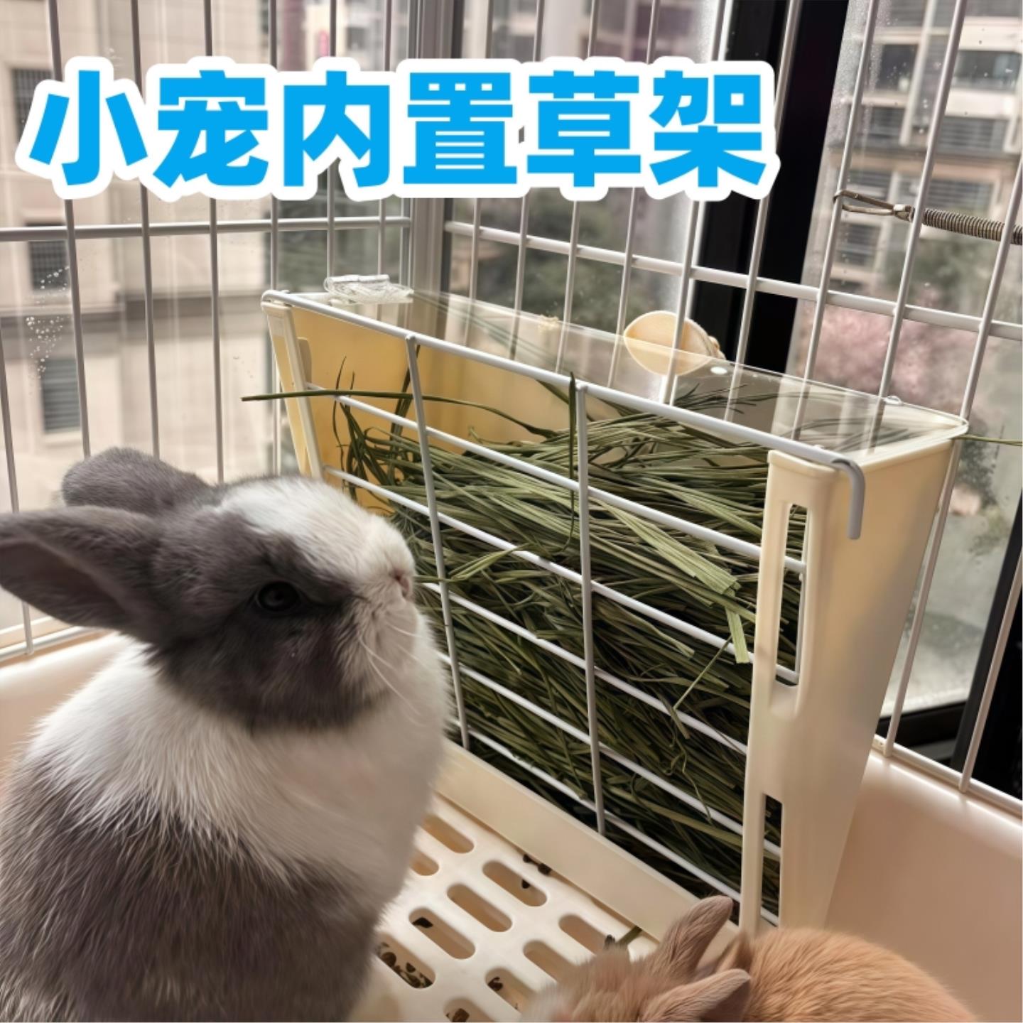 兔子草架内置大容量防扒兔兔喂食器荷兰猪豚鼠龙猫草料架食盒用品