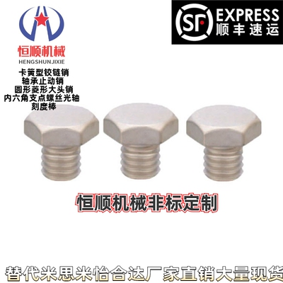 STEHN5.5A/5.5/7/8/10/10B/13/13A13B固定型止动销 带螺纹销