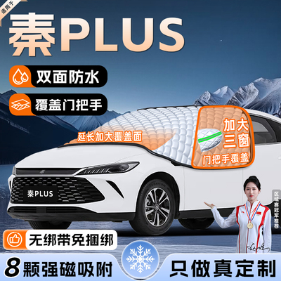 【适用于秦PLUSDMI】遮雪挡