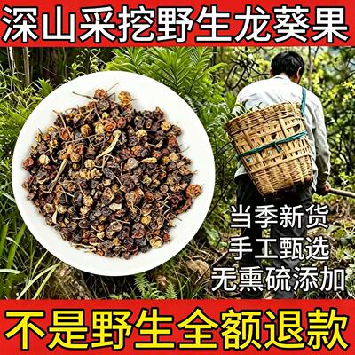 野生龙葵果中药材正品新干货无硫龙葵子龙葵籽天茄子野葡萄苦葵籽