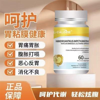 普达纳希胃康舒保哥树果养胃胶囊胃黏膜胃反酸胀气胃不适胃宝胶囊