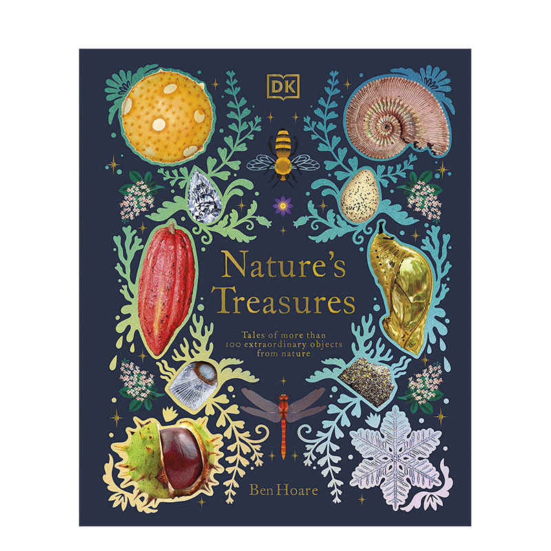 【预售】大自然的宝藏 Nature’s Treasures DK出版 3-6岁知识启蒙 Ben Hoare 英文原版进口儿童童书绘本 善优图书
