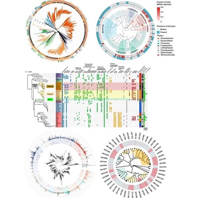 R语言数据分析java程序代做c++c语言matlab图像处理python编程php