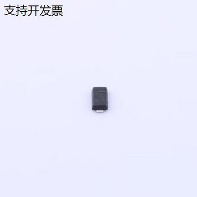 MSE1PGHM3/89A静电和浪
