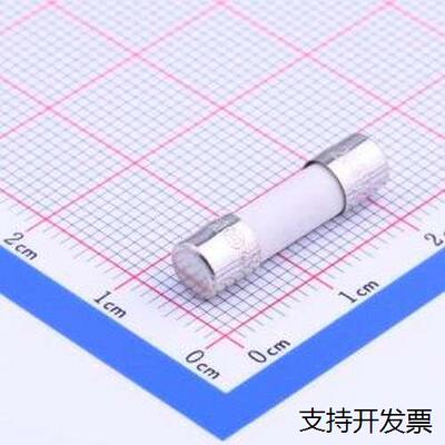 02151.MXP一次性保险丝