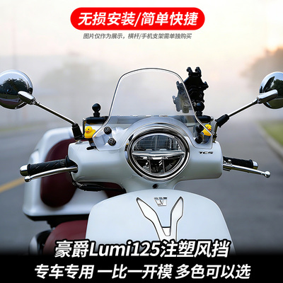 适用豪爵lumi125复古摩托车前挡