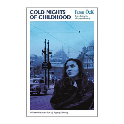英文原版 Cold Nights of Childhood 童年的寒夜 土耳其作家Tezer ozlu 女性文学小说 英文版 进口英语原版书籍