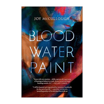 英文原版 Blood Water Paint 血水画 美国国家图书奖长名单 取材于阿特米希娅·津迪勒奇 Joy McCullough 英文版 进口英语原版书籍
