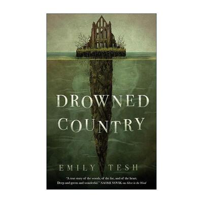 英文原版 Drowned Country 沉没之国 绿谷二重奏系列 英文版 进口英语原版书籍