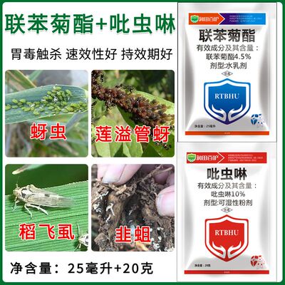 蚜虫蓟马稻飞虱韭蛆专用杀虫药