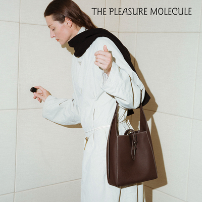 the pleasure molecule新品钥匙hobo包22松弛老钱单肩斜挎