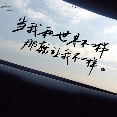 当我和世界不一样车贴