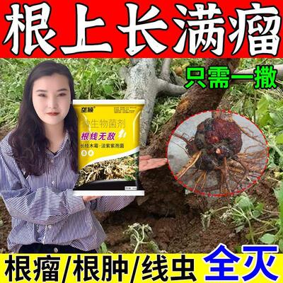 樱桃树根瘤菌剂防根腐线虫