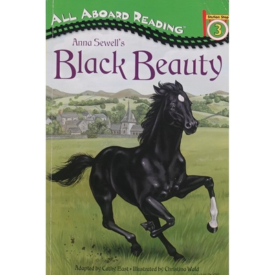 英文原版图书经典黑骏马绘本