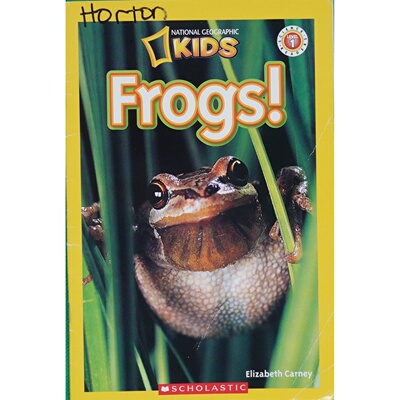 英文原版图书青蛙科普绘本