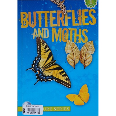 英文原版图书蝴蝶飞蛾科普绘本