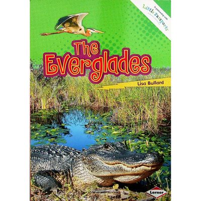 英文原版图书大沼泽地绘本