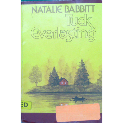 英文原版图书奇幻经典不老泉