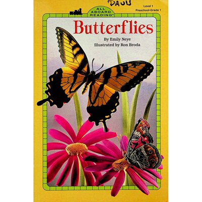 英文原版图书纸雕蝴蝶科普绘本