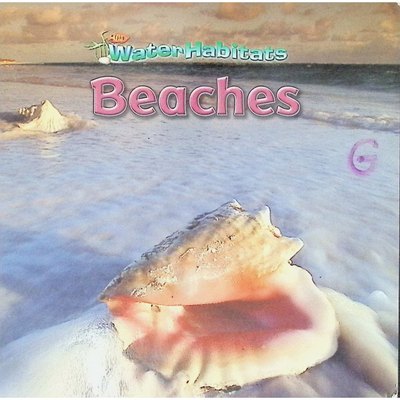 英文原版图书海滩生态绘本