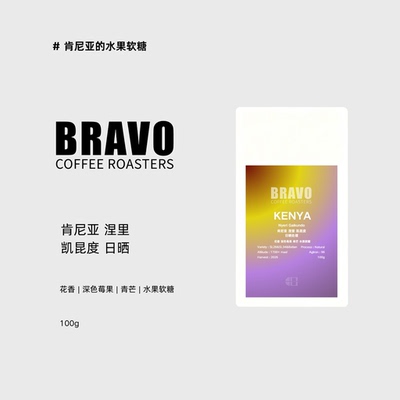 Bravo【新产季】肯尼亚涅里凯昆度NH日晒手冲咖啡豆100g