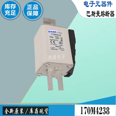 巴斯曼170M3223170M4208保险丝