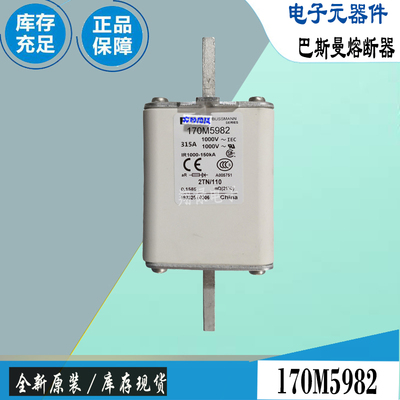 巴斯曼170M4989170M5981保险丝