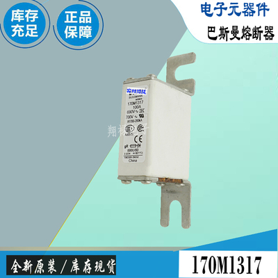 巴斯曼170M1315170M1316保险丝