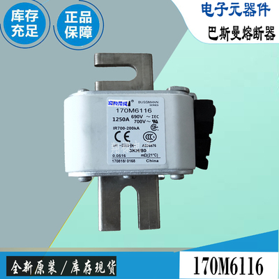 巴斯曼170M6118170M6119保险丝