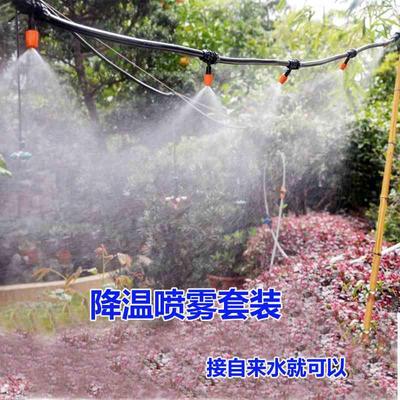 微喷带免打孔雾化喷头降温喷雾头工地除尘园艺浇水喷雾灌溉喷水
