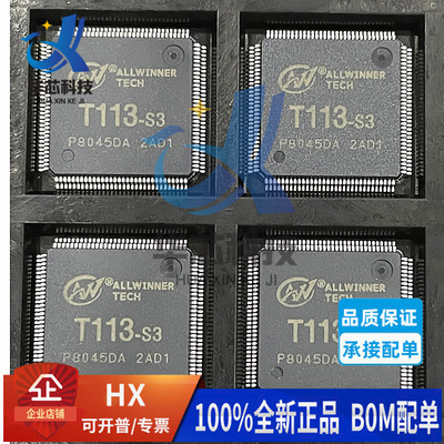 T113-S3微控制器单片机