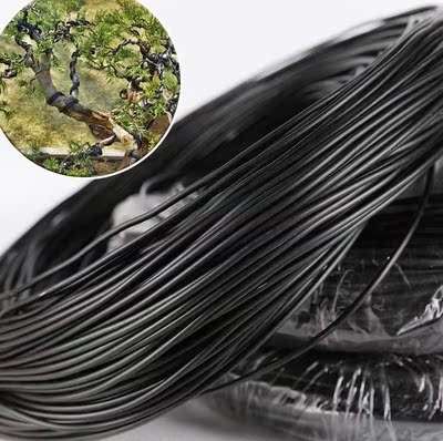 Plant aluminum wire bonsai shape shape binding line banyan