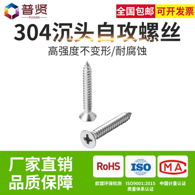 304平头自攻4.8 5.5不锈钢自攻螺丝沉头十加长平头自攻螺丝GB846