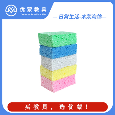 蒙台梭利木浆海绵吸水清洁配件