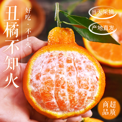 「官方推荐」正宗四川不知火丑橘