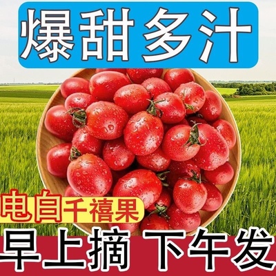 【顺丰包邮】广东茂名电白冰糖千禧果当季小番茄圣女果孕妇新鲜现