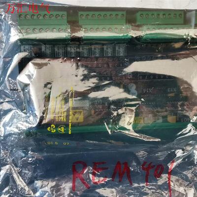 SAM  REM401模块,PN:271.123 854 E(议价)