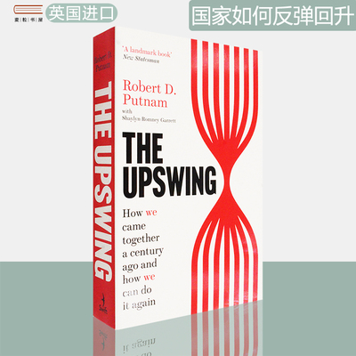 国家如何反弹回升TheUpswing