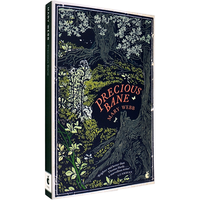 现货原版珍贵的毒药MaryWebb