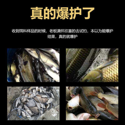速发野钓者野接挂钩杀通饵料颗粒料直钓黑坑钓鱼鲤鱼草鱼