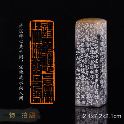 诗思禅心共竹闲 任他流水向人间 梁丕 满白文 手工篆刻成品章写意