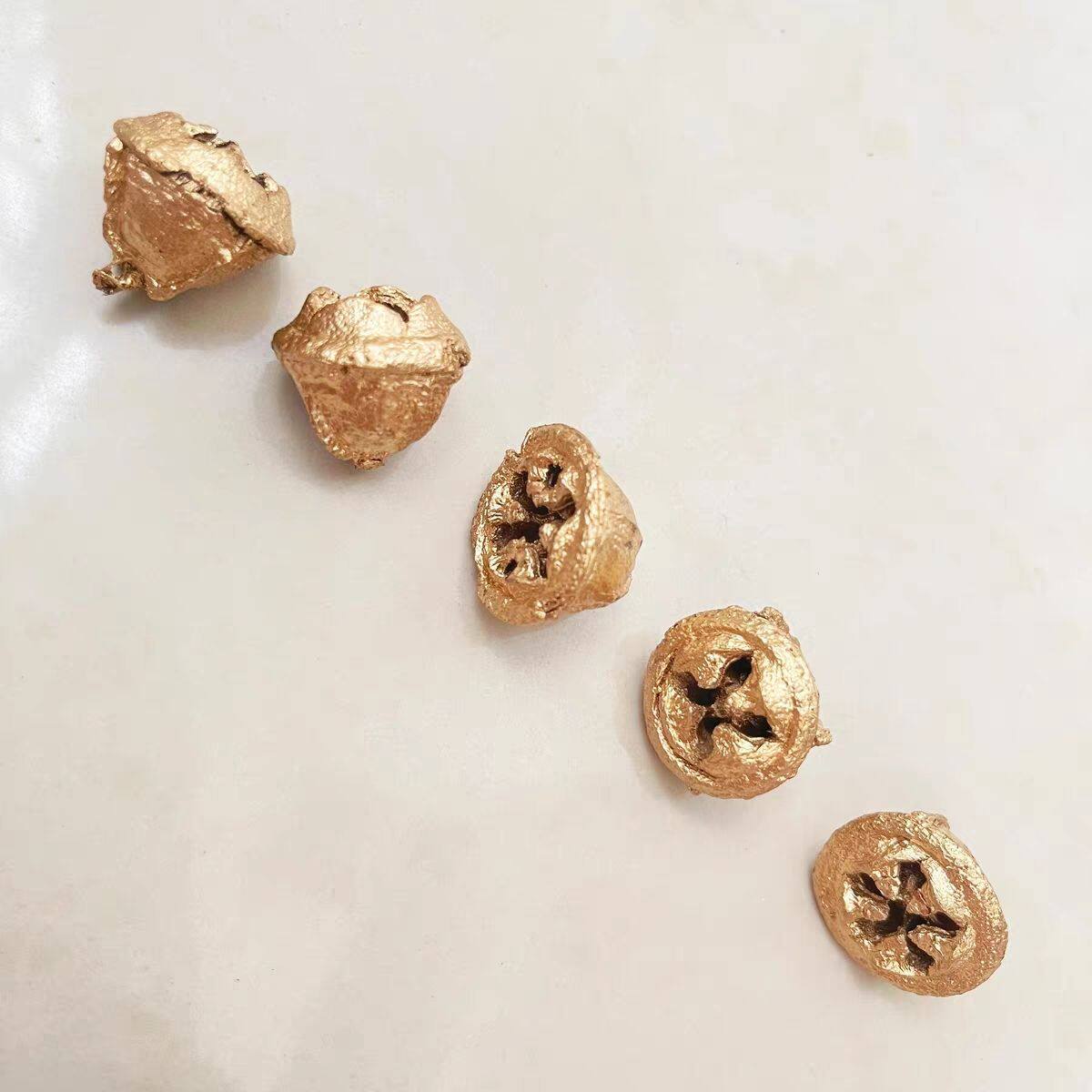 十字果金银色尤加利果桉树果落叶松永生花果实diy圣诞节干花配材
