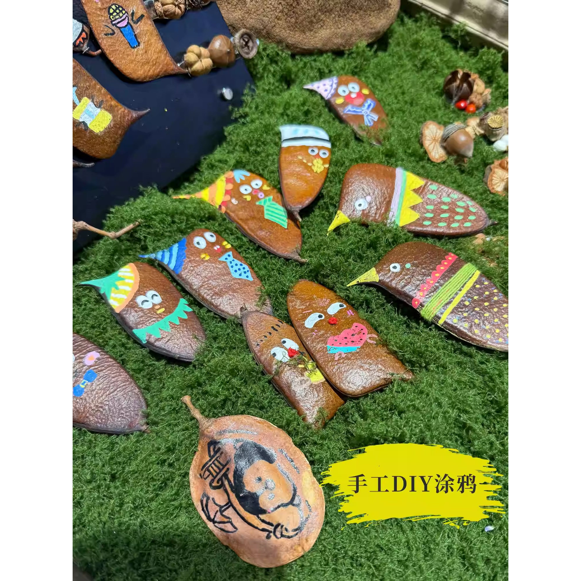 天然植物果实豆荚干花干果实组合摆设拍摄道具背景手工diy幼儿园