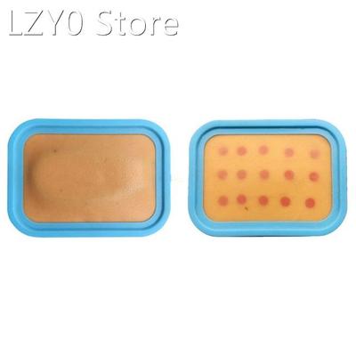 2PCS Injection Exercise Model Intravenous Arm Needle Trainin