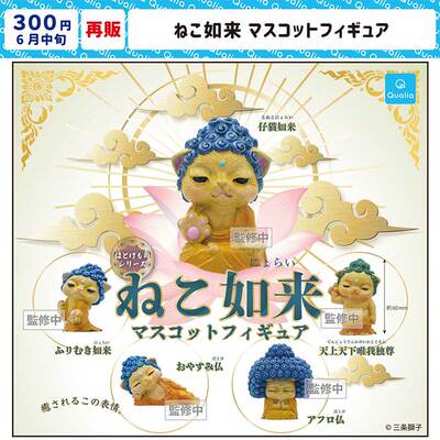 现货正版日本Qualia 猫如来再贩 猫咪桌面小摆件全套小手办扭蛋