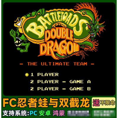 FC小霸王游戏合集nes 忍者蛙与双截龙PC电脑单机游戏安卓鸿蒙苹果