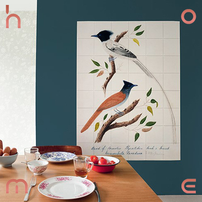 ho+me現貨荷蘭IXXIB