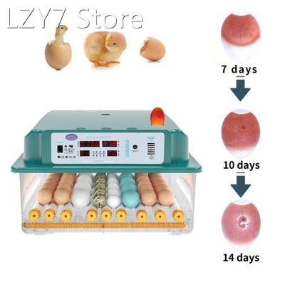 Incubator Egg Fully Automatic Brooder Hatchery Machine Turne