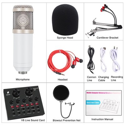 BM-800 Professional Condenser Karaoke Microphone V8 Audio He