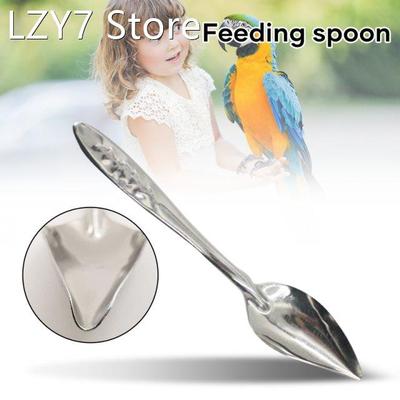 Stainless Steel Birds Feeder Spoons Parrots Feeding Scoops H